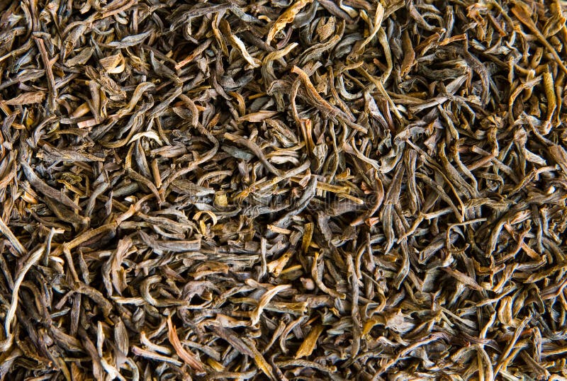 Green tea texture stock image. Image of green, inspiring - 11694683