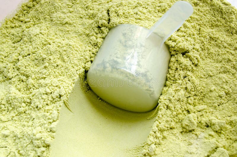 Green Tea Whey Protein stock photo. Image of ingredient - 145263520