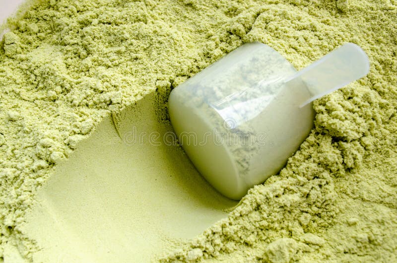Green Tea Whey Protein stock image. Image of organic - 145263523