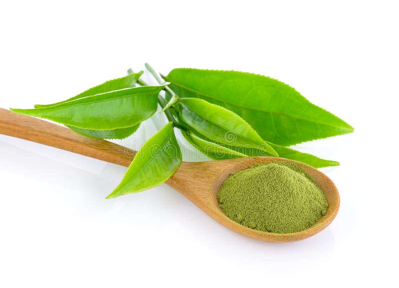 Green tea on white stock image. Image of growth, drink - 86661311