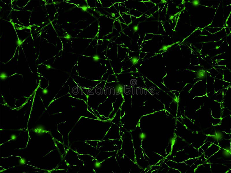 Green Technology Light Web Texture Background Stock Illustration ...