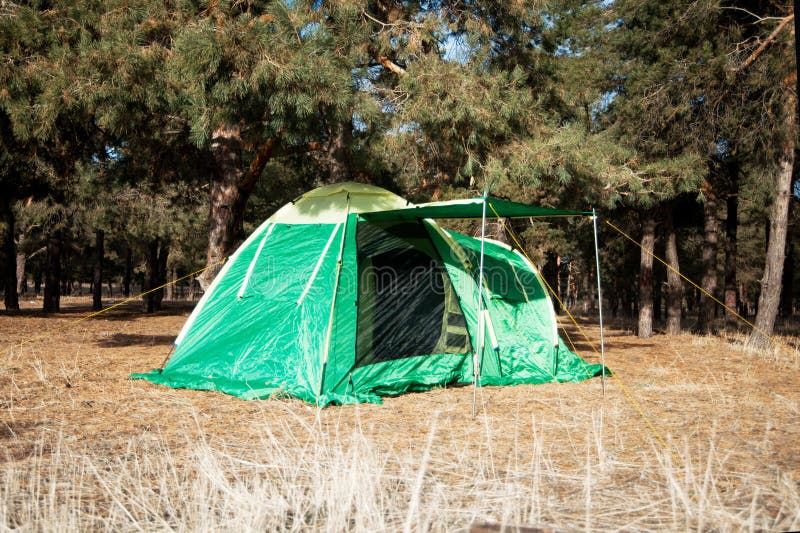 Green Tent in the Pine Wood Stock Photo - Image of fixation, green ...