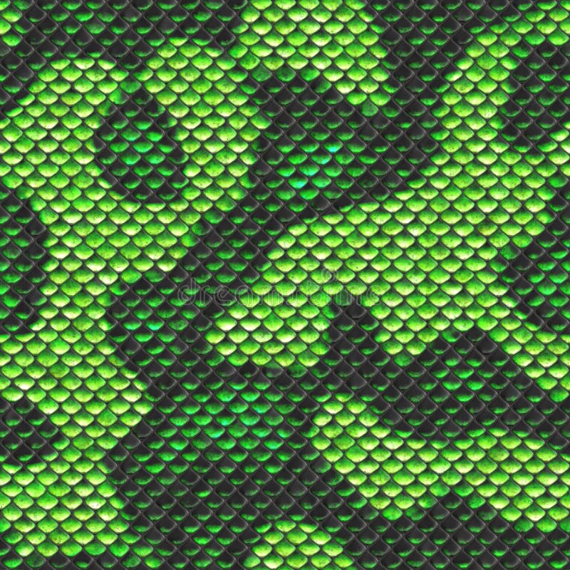Green Snake Skin, As Background. Reptile Stock Photo - Image of black ...