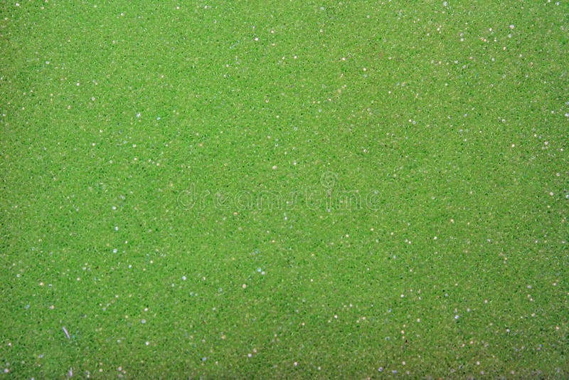 Green texture stock photo. Image of wallpaper, closeup - 33276390