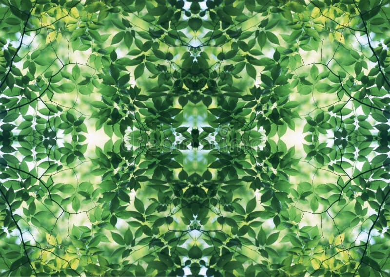 Green Texture | Floral Pattern | Design Element | Textured Backdrop ...