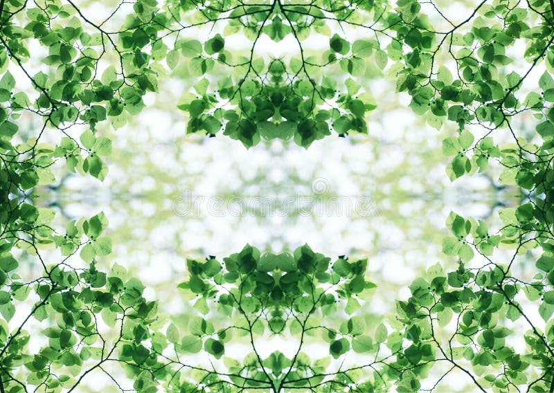 Green Texture | Floral Pattern | Design Element | Textured Backdrop ...