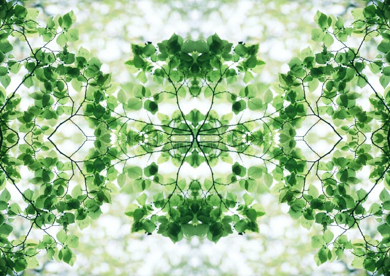 Green Texture | Floral Pattern | Design Element | Textured Backdrop ...
