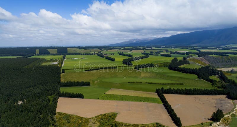 The Green Texture Rice of Barley As Yellow of Canola Field Stock Image ...