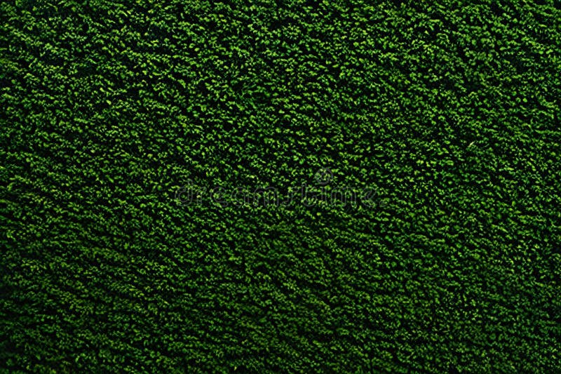 Green Textured Nature Background Stock Illustration - Illustration of ...