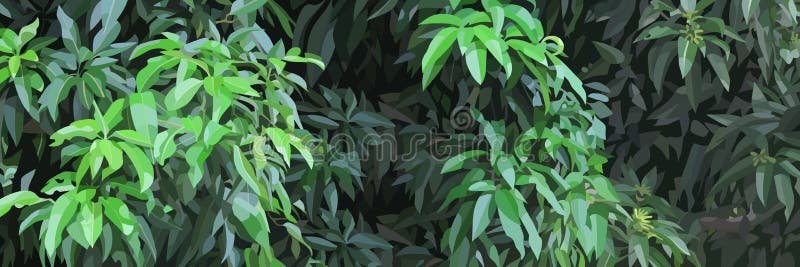 Lush Dense Green Forest with Sun Rays Touching the Plants and Trees ...