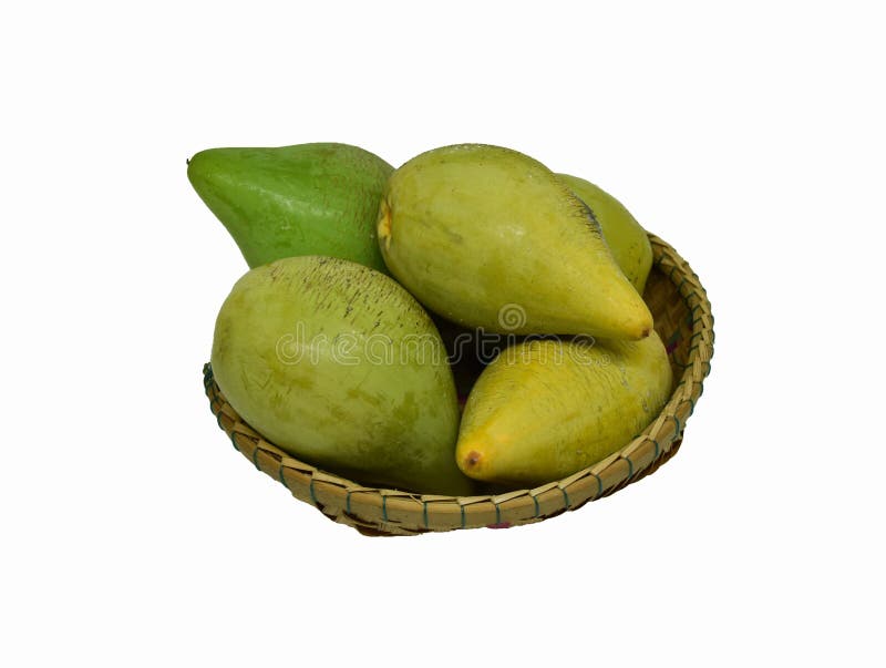 Tiesa egg stock image. Image of campechiana, tropical - 47468727