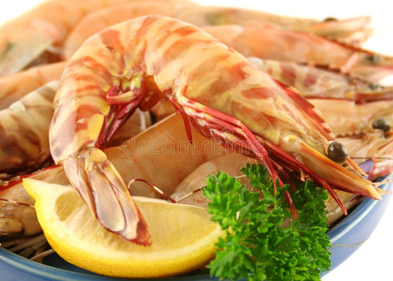 Green Tiger Prawn stock photo. Image of prawns, eyes, stripes - 5821956