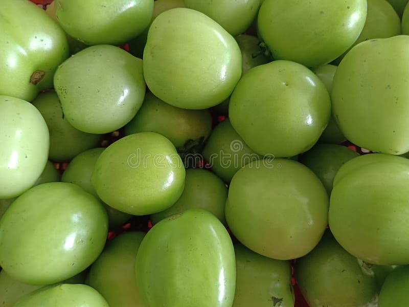 Green Timat Stock Photos - Free & Royalty-Free Stock Photos from Dreamstime