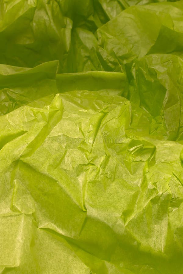 Green Tissue paper stock photo. Image of gift, tissues - 90254838