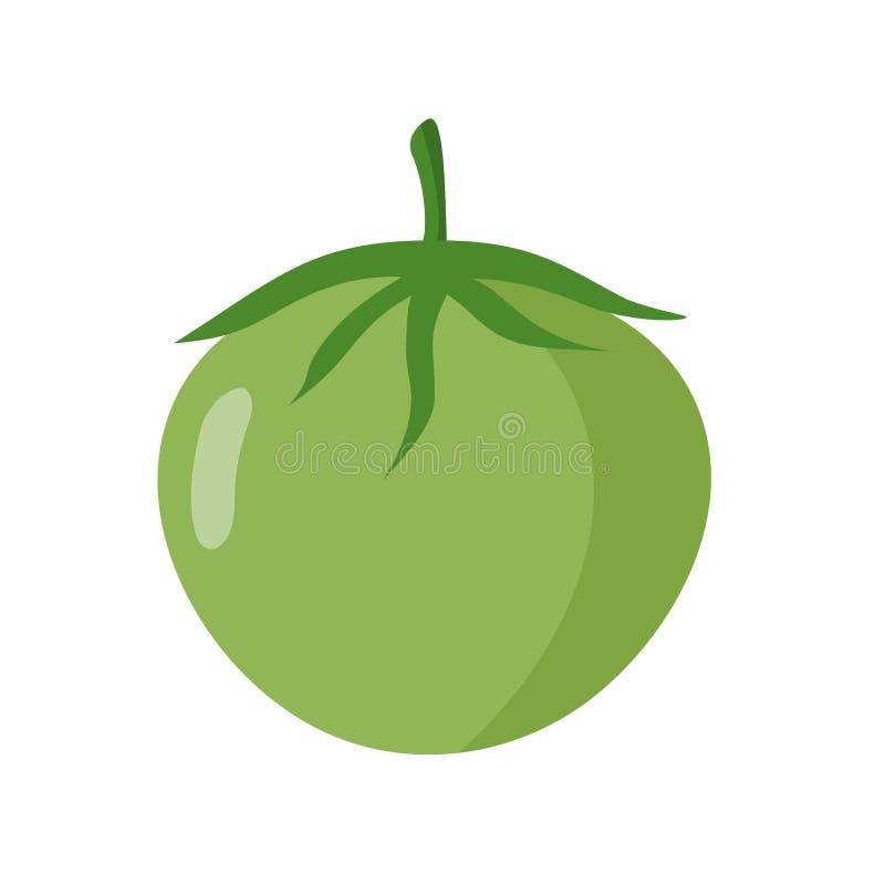 Green Tomato Vegetable, Flat Vector Icon, Cartoon Tomatoes Illustration ...