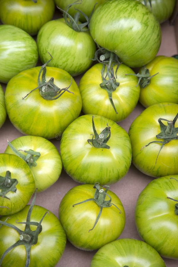 Green Tomatoes in Box on Market Stock Photo - Image of green, shop ...