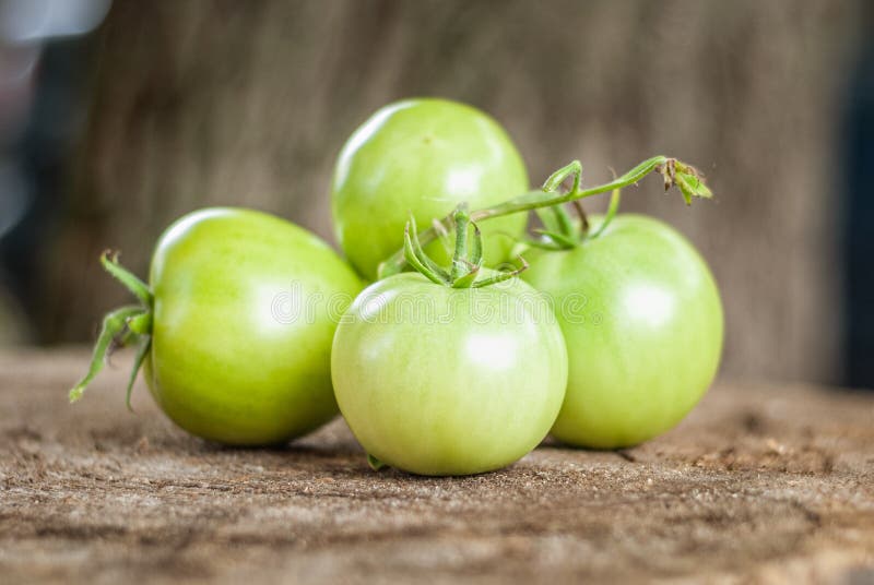 Green Tomatoes on an Old Tree Stump Stock Photo - Image of shrub ...