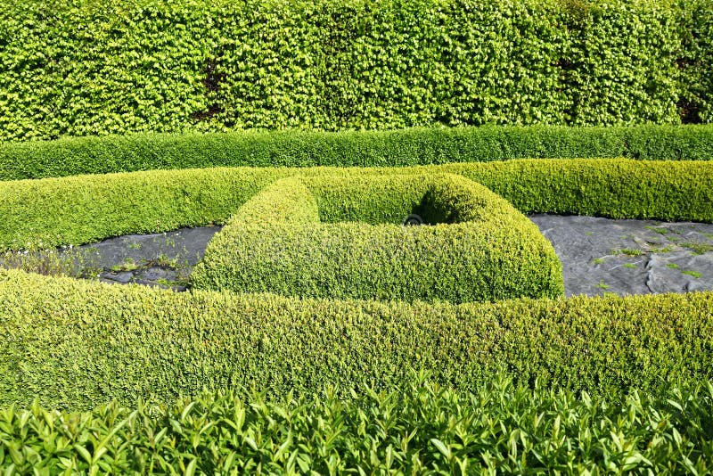 Green topiary stock photo. Image of rural, bush, path - 40869478