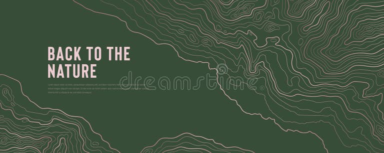 Green Topographic Map Background with Abstract Contour Line Pattern ...