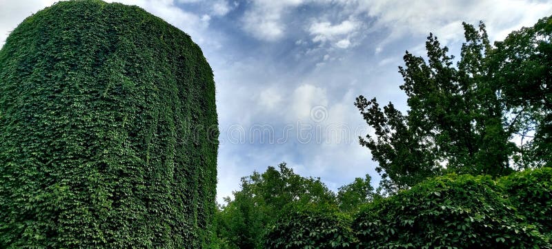 Green tower and the sky stock photo. Image of green - 203824168