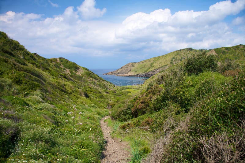 Green Track. Grass Covered Tramway Track. Greenery in the City ...