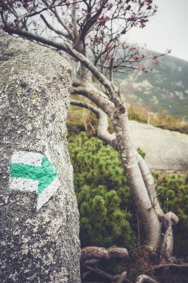 Green Trail Marking Painted Rock Color Toning Applied Selective Focus ...