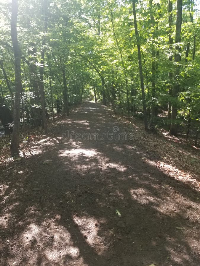 Green Trail stock image. Image of landscape, country - 183894661