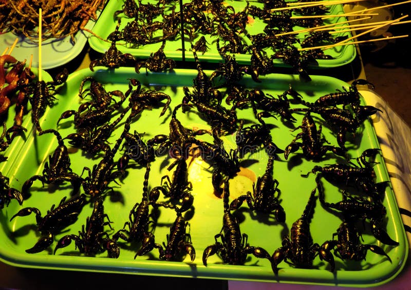 Green Trays with Fried Scorpions, Food Stock Photo - Image of scorpions ...