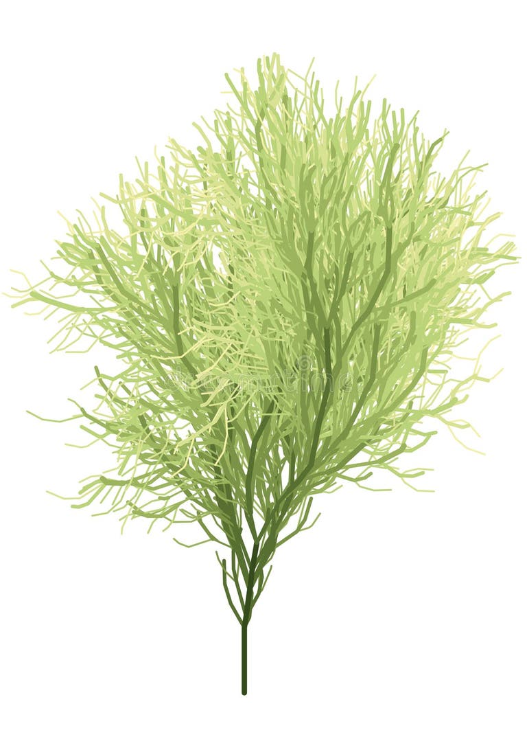 Tree Drawing Stock Illustrations – 1,104,815 Tree Drawing Stock ...