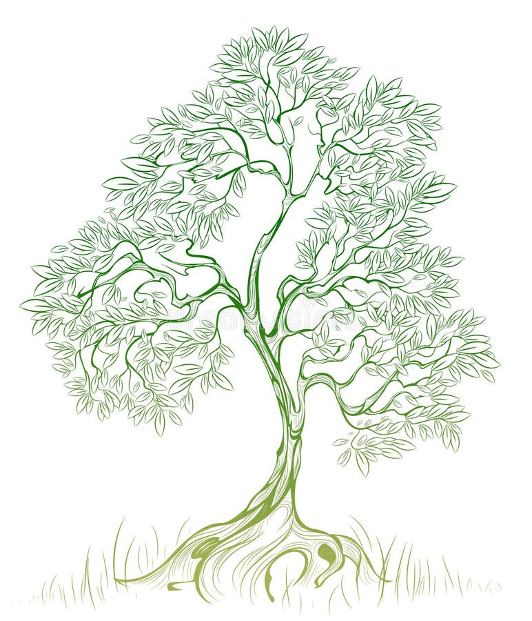 Green tree stock vector. Illustration of painting, template - 17362202