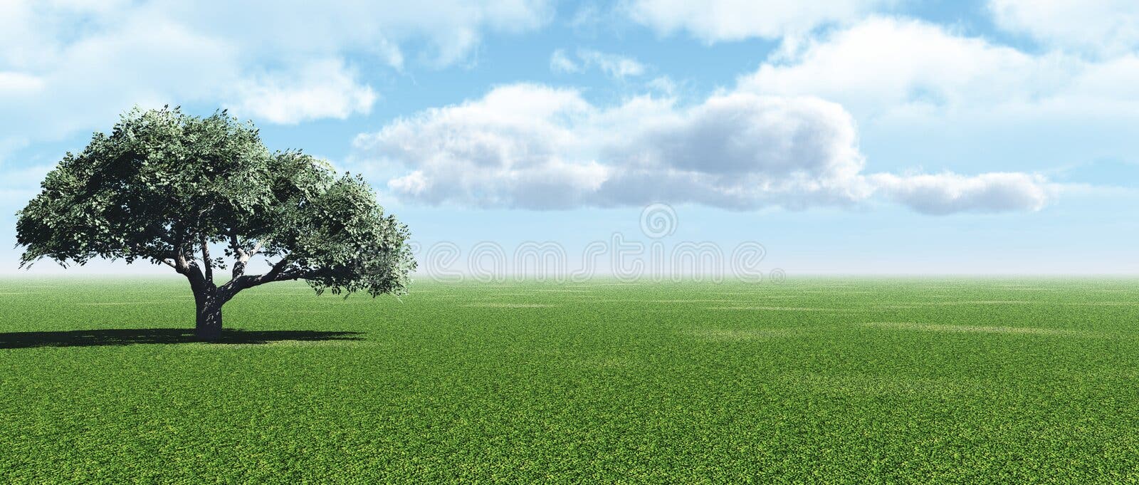 Alone Tree Picture. Image: 2266312