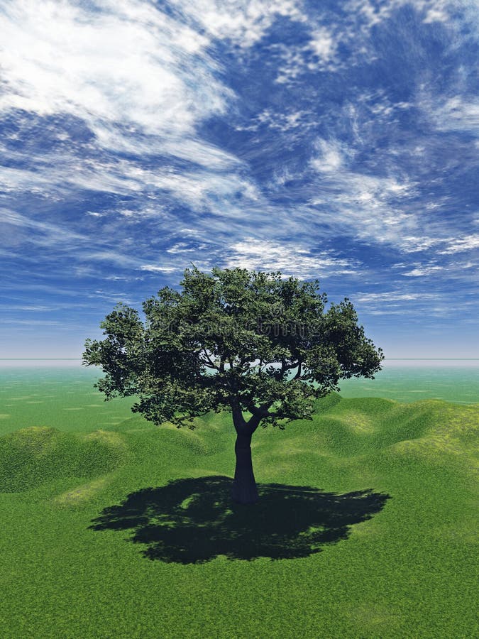 Green_Tree_P stock image. Image of holiday, farmland, outdoors - 1949381