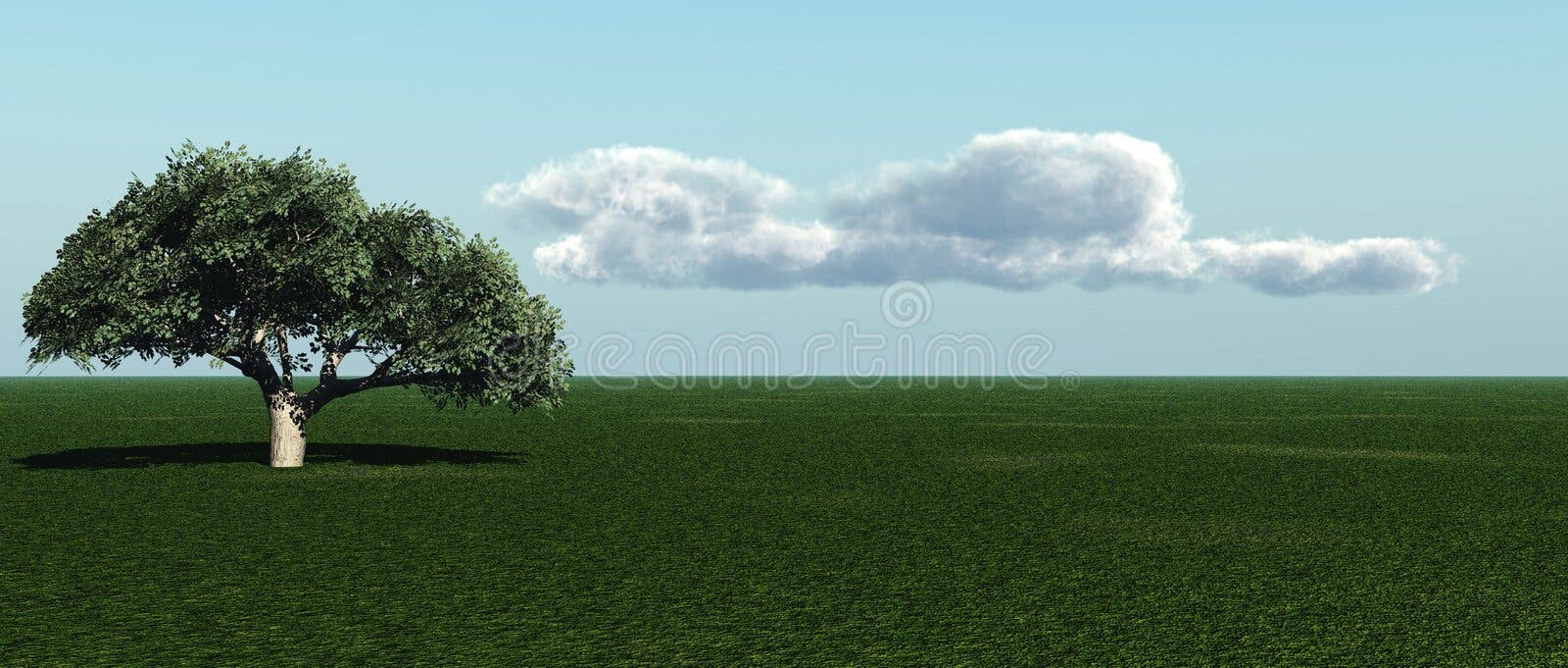 Alone Tree Picture. Image: 2266312