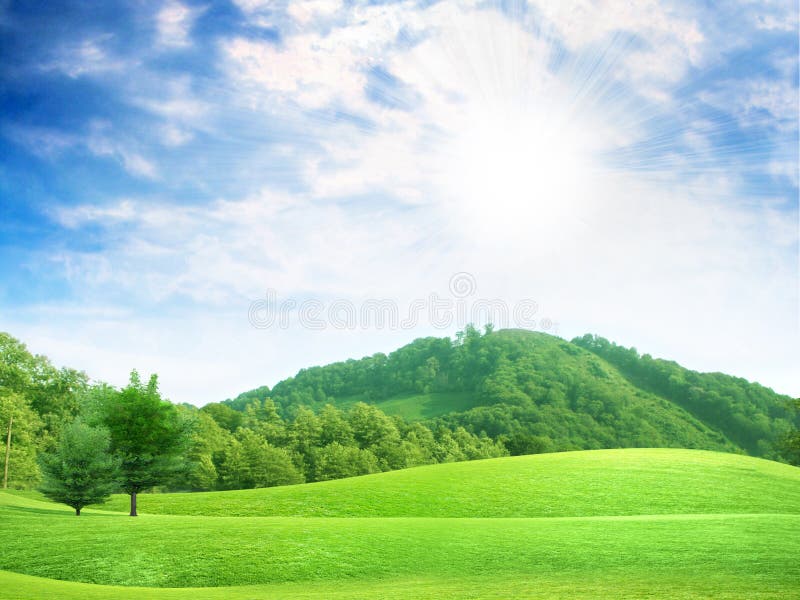 Green tree stock image. Image of concept, beautiful, bright - 9307519