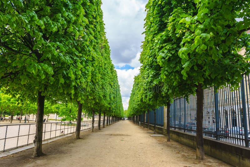 Green Tree Alignment at Terrace of the Feuillants with Cloudy Sk ...