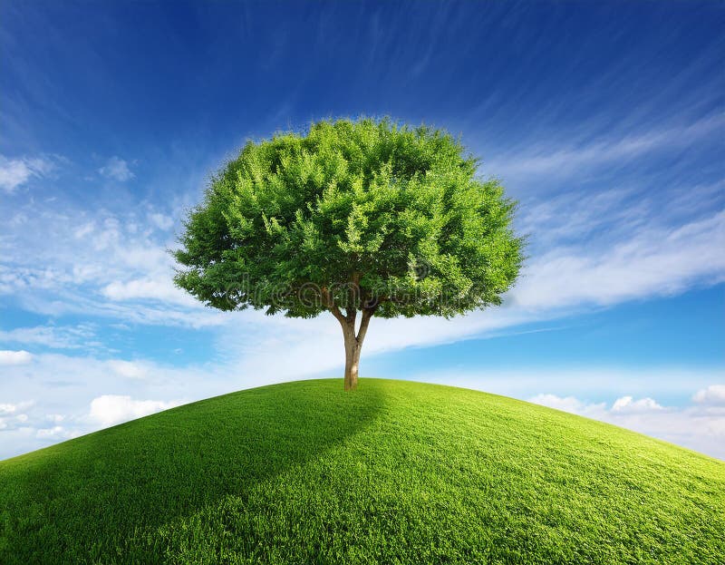 Green Tree. Alone Tree and Beautiful Sky with Clouds - 3d Landscape ...
