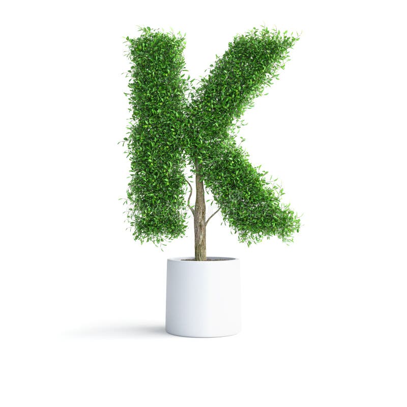 K Letter Tree Stock Illustrations – 581 K Letter Tree Stock ...