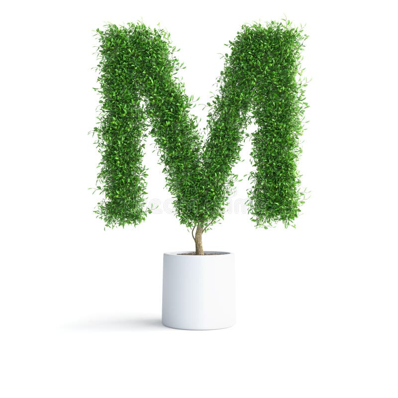 Letter Tree M Stock Illustrations – 628 Letter Tree M Stock ...