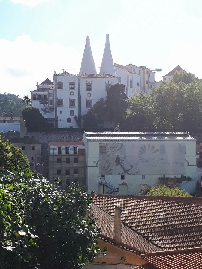 Green tree beautiful tomb editorial stock image. Image of cute - 116122974