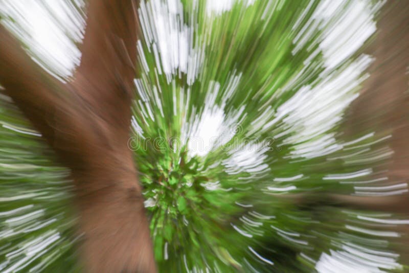 Green of Tree Blurred Background, Speed Lens Zoom Effect Stock Photo ...