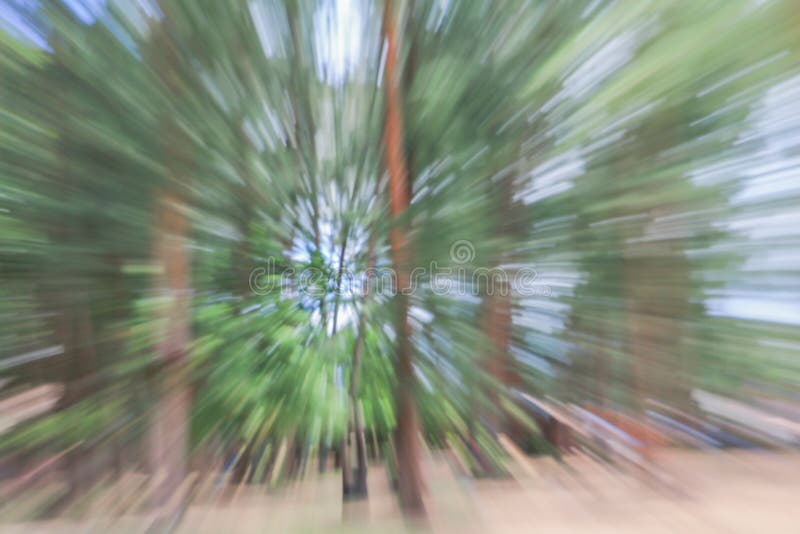 Green of Tree Blurred Background, Speed Zoom Effect Stock Photo - Image ...