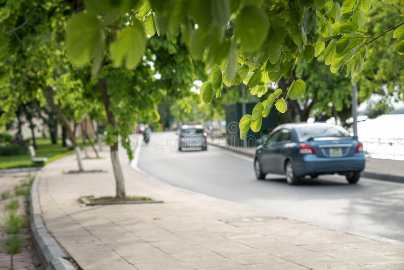 Green Tree Branches with Urban Road and Cars Runing on the Road Stock ...
