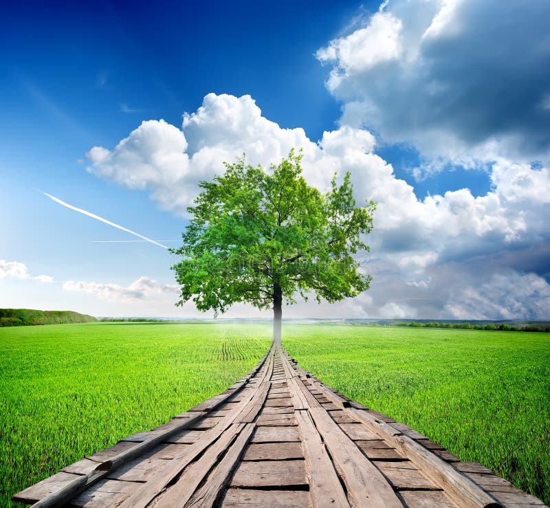 Green tree and bridge stock photo. Image of forest, colorful - 37737200