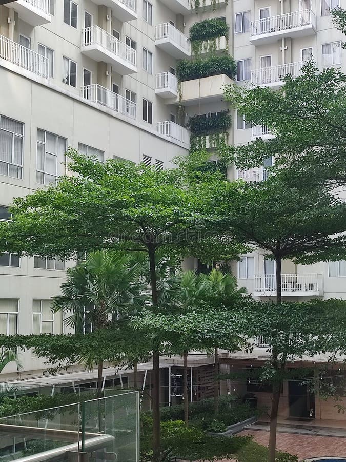 Green Tree Building City Apartement Stock Image - Image of city ...