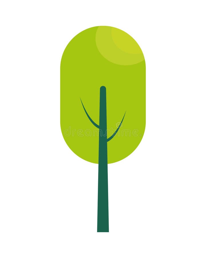 Green tree cartoon stock vector. Illustration of isolated - 240323056