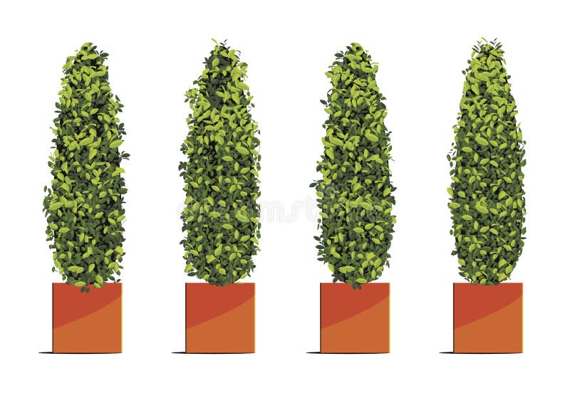 Tree in Pots Isolated on White Background Stock Vector - Illustration ...