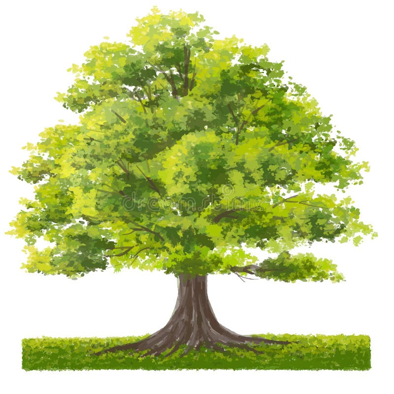 Green Tree Elevation for Landscape Scenery Background Stock Vector ...