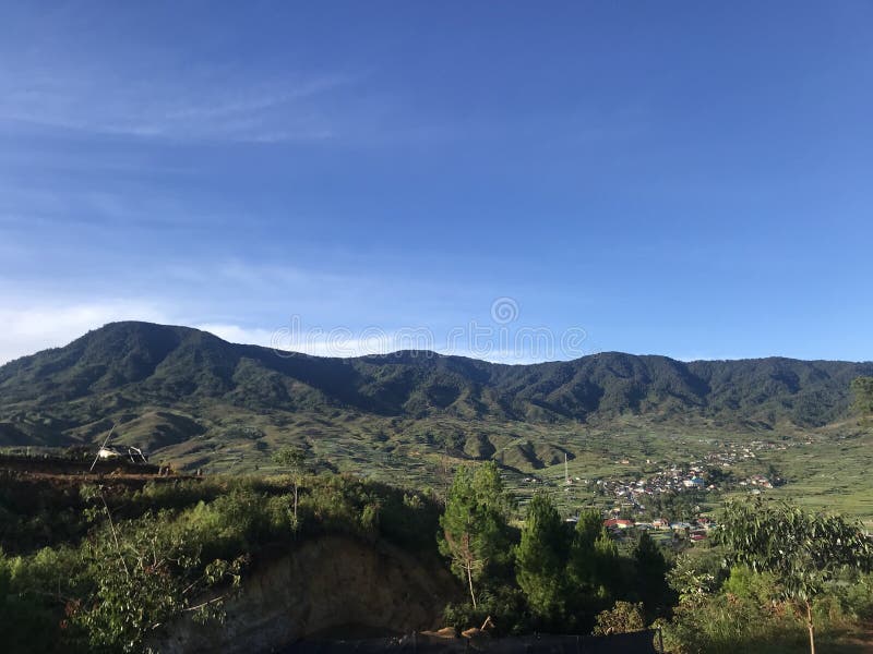Green tree expanse stock image. Image of green, alps - 259627685