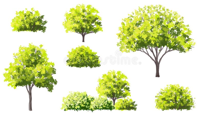 Green Tree ,forest with Grass Elevation for Landscape Scene Stock ...