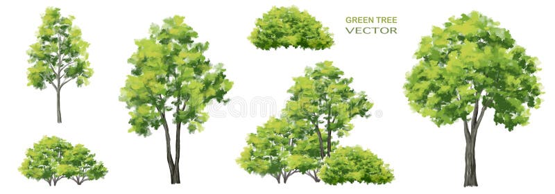 Green Tree ,forest with Grass Elevation for Landscape Scene Stock ...